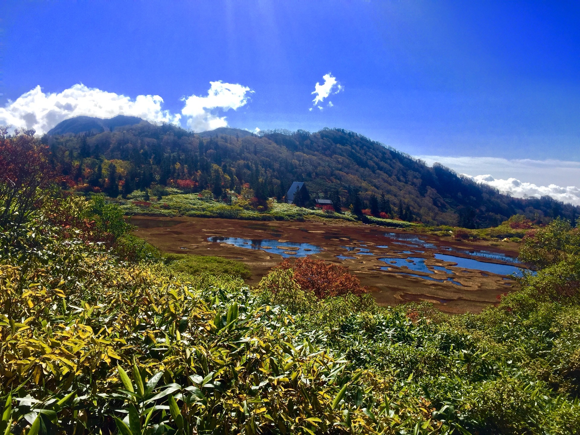 高谷池の紅葉: ケロちゃん日記